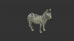 zebra ds46 3d models 【 STLFinder
