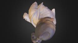 barry bonds transformation 3D Models | Page 1 | STLFinder