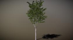 2 ft birch tree with duel connections 3D Models | Page 1 | STLFinder