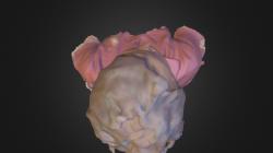 crumble a paper 3D Models | Page 1 | STLFinder