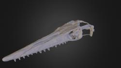 tylosaurus skull 3D Models | Page 1 | STLFinder
