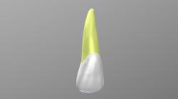 upper lateral incisor 3d models 【 STLFinder
