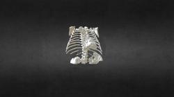 body skeleton with organs 3D Models | Page 1 | STLFinder