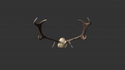 free deer antlers 3d models 【 STLFinder