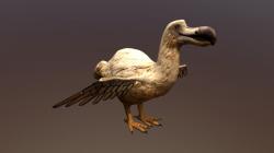 dodo speed test 3D Models | Page 1 | STLFinder