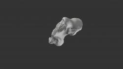 right humerus stl 3D Models | Page 1 | STLFinder