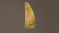 inkfang scrimshaw pen dnd 3D Models | Page 1 | STLFinder