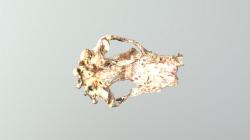 kolorowanka ursus 360 kolorowanka 3D Models | Page 1 | STLFinder