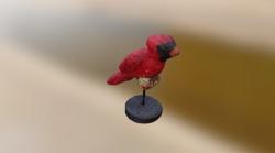 cardinal 3D Models | Page 1 | STLFinder