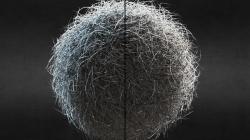 hairball 3D Models | Page 1 | STLFinder