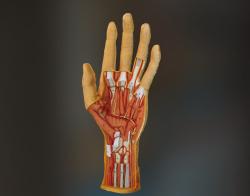 handy 模型下载 3D Models | Page 1 | STLFinder