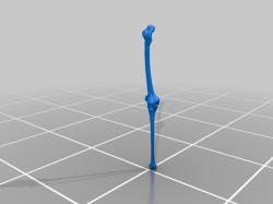 skeleton leg bones 3D Models | Page 1 | STLFinder