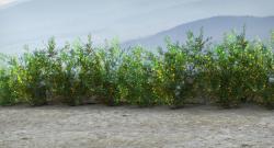 acacia ehrenbergiana 3d models 【 STLFinder