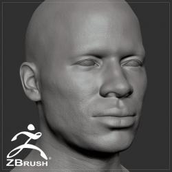 average male model 【 STLFinder