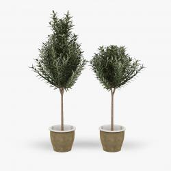 olive tree pot 3D Models | Page 1 | STLFinder