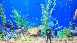 Tropical Deep Sea Fish Pack 6 Fish Collection with poses 3D Models ...