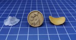 spongebob penny chip 3D Models | Page 1 | STLFinder