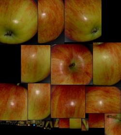 apple scan 3D Models | Page 1 | STLFinder