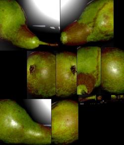 hyoi pear 3D Models | Page 1 | STLFinder