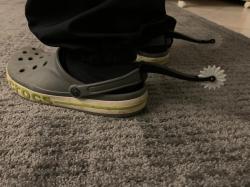 croc spur 3D Models | Page 1 | STLFinder