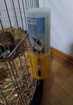 water for guinea pigs 3D Models | Page 1 | STLFinder