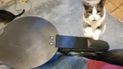 arnis arm pad 3D Models | Page 1 | STLFinder