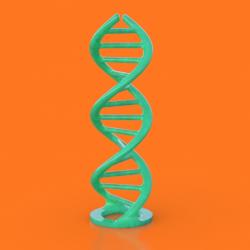 why dna is double helix 3D Models | Page 1 | STLFinder