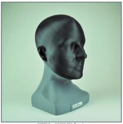 life size head 3D Models | Page 1 | STLFinder