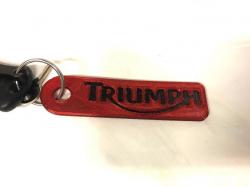 triumph keychain 3D Models | Page 1 | STLFinder