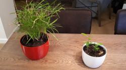 low bowl planter plastic 18 20 in diameter 3D Models | Page 1 | STLFinder