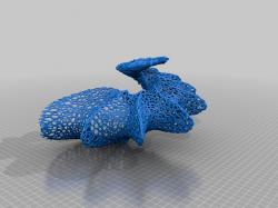 nautilus ammonite 3D Models | Page 1 | STLFinder