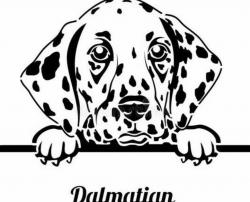 dalmation street 3D Models | Page 1 | STLFinder