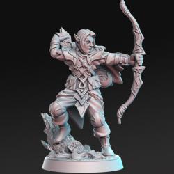 dnd high elf fighter4 3D Models | Page 1 | STLFinder