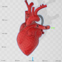 anatomical heart pendant 3D Models | Page 1 | STLFinder