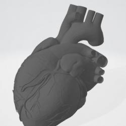 heart to print 3D Models | Page 1 | STLFinder
