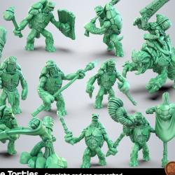 tortles 5e 3d models 【 STLFinder