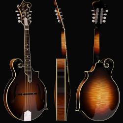 gibson f5g mandolin 3D Models | Page 1 | STLFinder