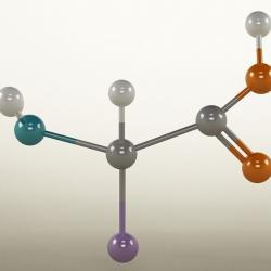 amino acid model | Page 1 | STLFinder
