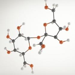 sucrose model | Page 1 | STLFinder