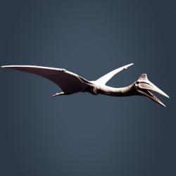 quetzalcoatlus northropi 3d models 【 STLFinder