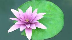 water lily pad 3D Models | Page 1 | STLFinder