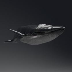 uasset 3D Models | Page 1 | STLFinder