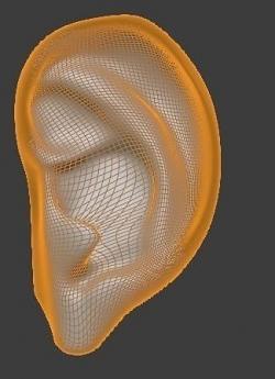 human ear model | Page 1 | STLFinder