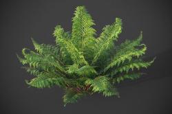 molodejka filix 3D Models | Page 1 | STLFinder