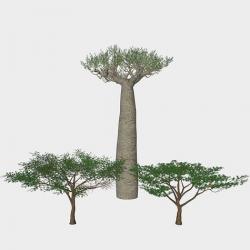 african trees 3D Models | Page 1 | STLFinder