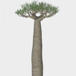 baobab tree 3d model | Page 1 | STLFinder