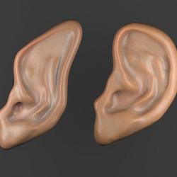 ears model | Page 1 | STLFinder