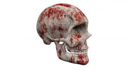 3d printed human skull british council | Page 1 | STLFinder