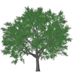 oak tree 3d model | Page 1 | STLFinder