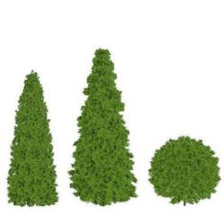 thuja tree 3D Models | Page 1 | STLFinder